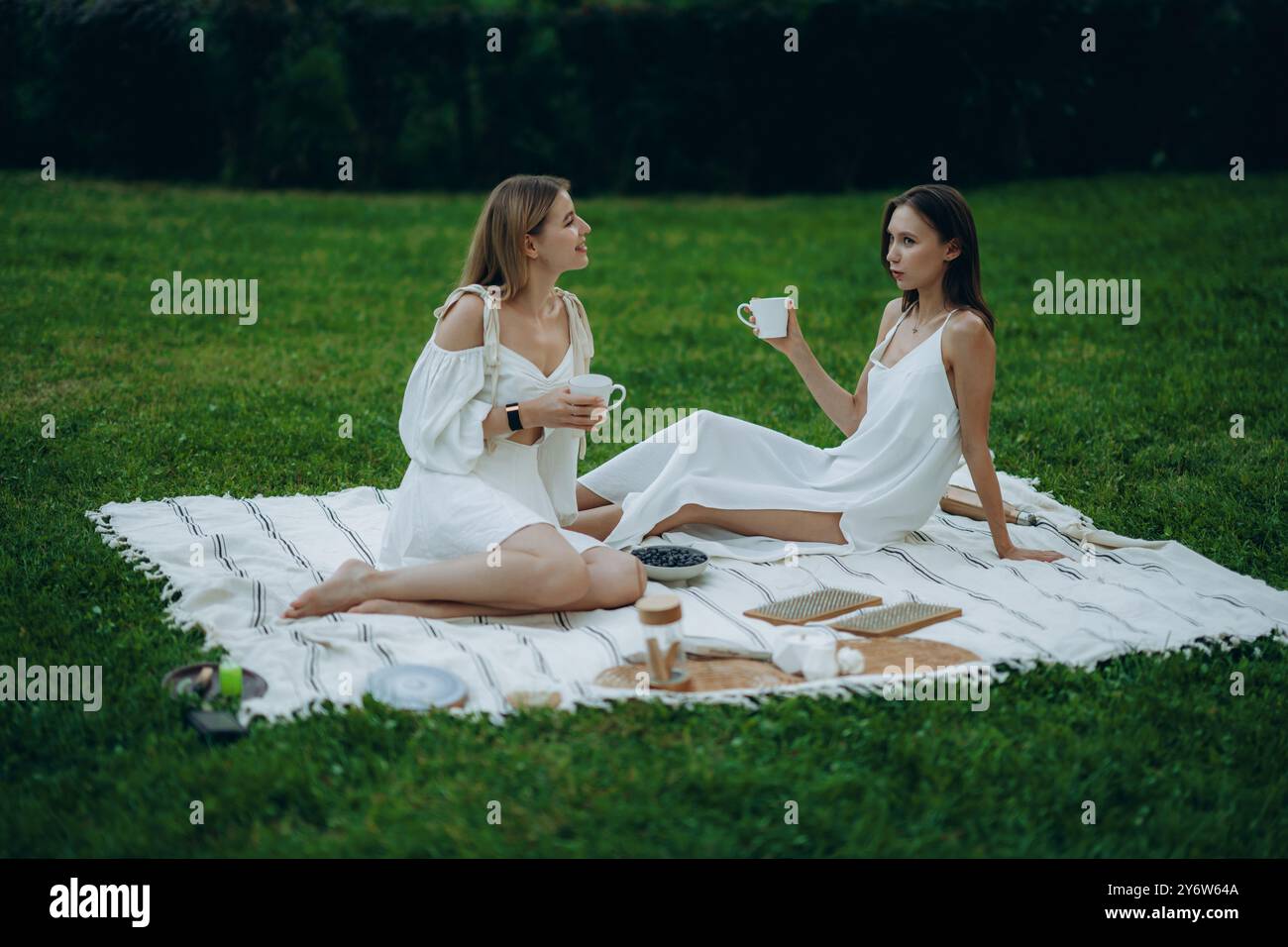 Two friends enjoying tea on a picnic blanket in a green park setting ...