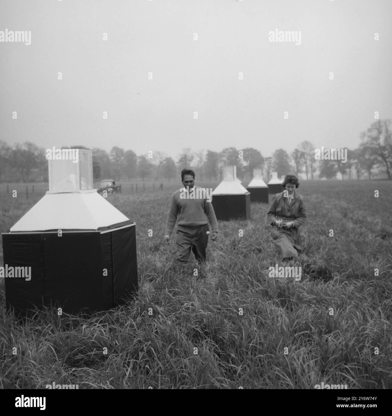 INSECT SCIENTISTS AT WORK IN HARPENDEN 12 JUNE 1961 Stock Photo - Alamy