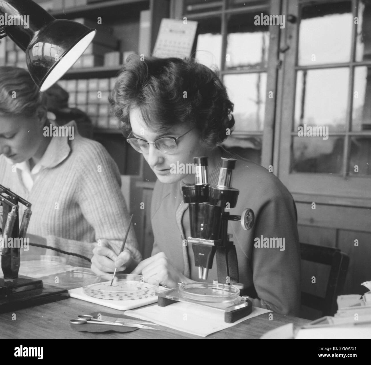 INSECT SCIENTISTS AT WORK IN HARPENDEN 12 JUNE 1961 Stock Photo - Alamy