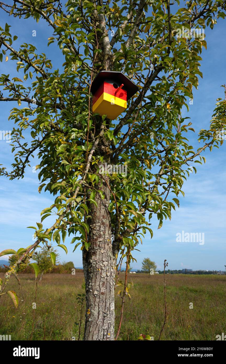 a nesting box for birds in the colours of the German national flag ...