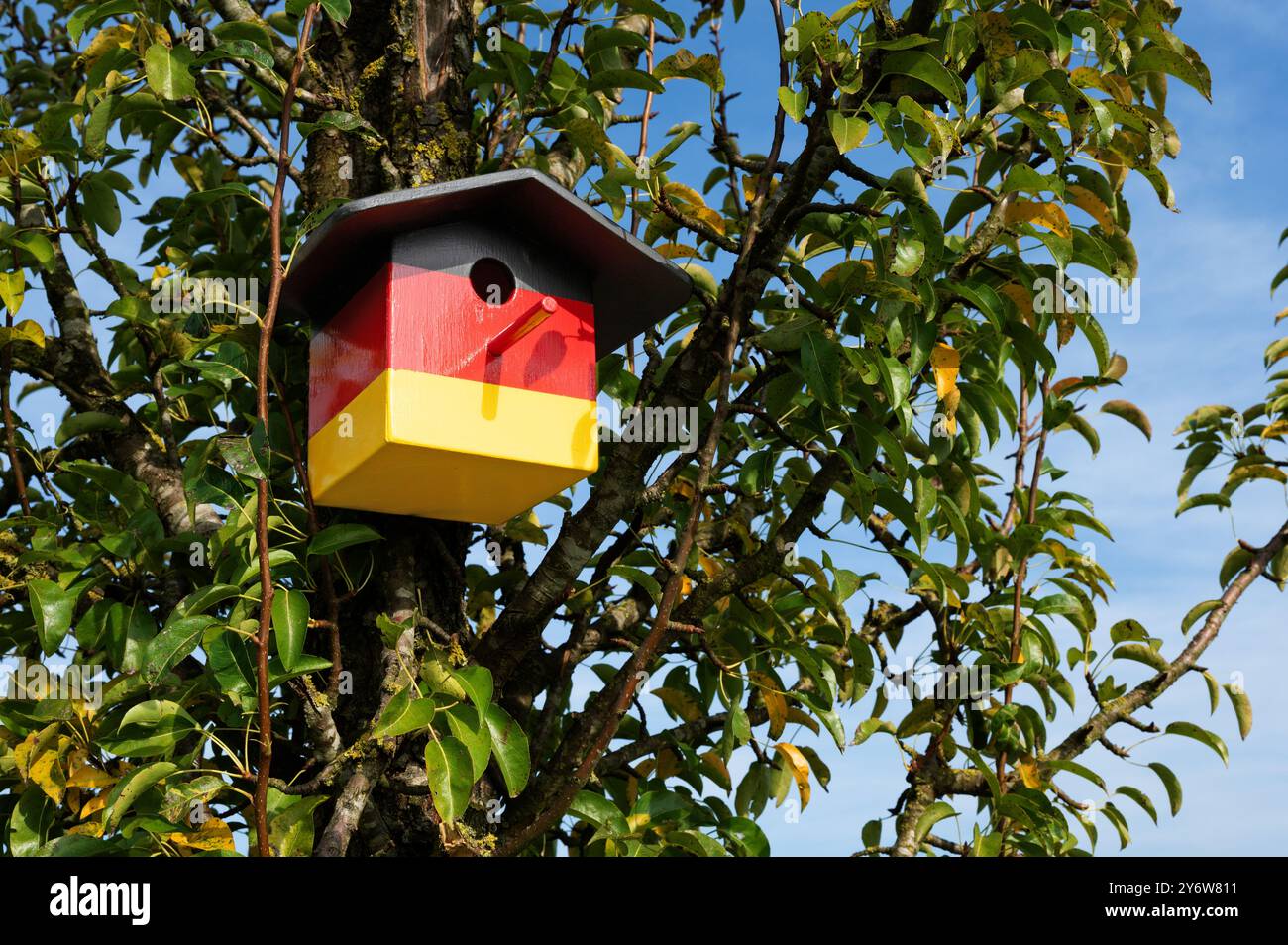 a nesting box for birds in the colours of the German national flag ...