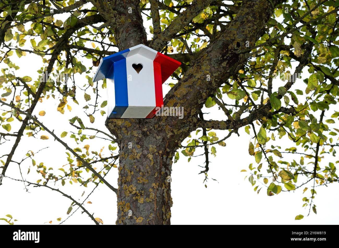 a nesting box for birds in the colours of the French national flag with ...