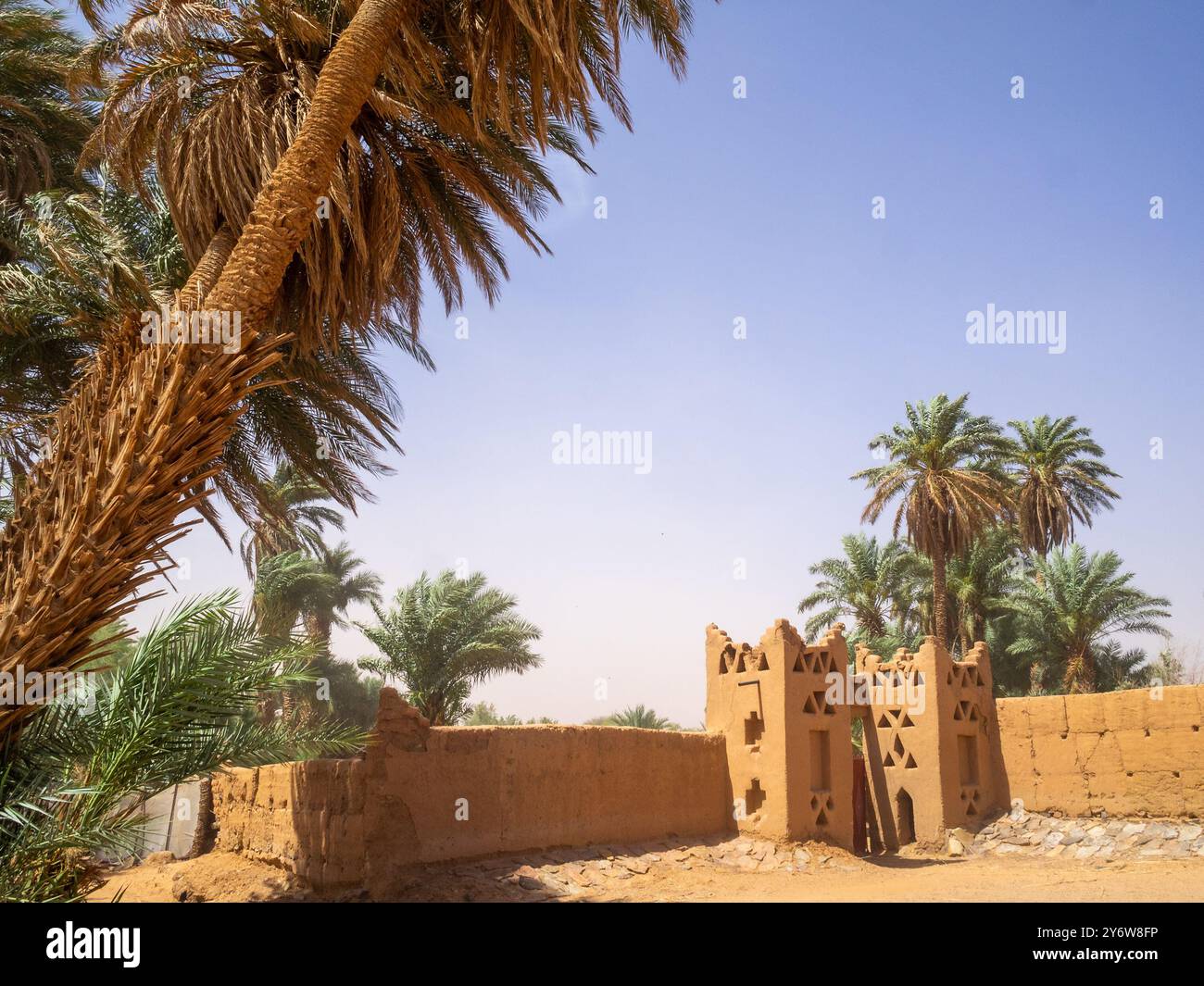 Date palm trees in an oasis in Erg Chegaga,Morocco Stock Photo - Alamy