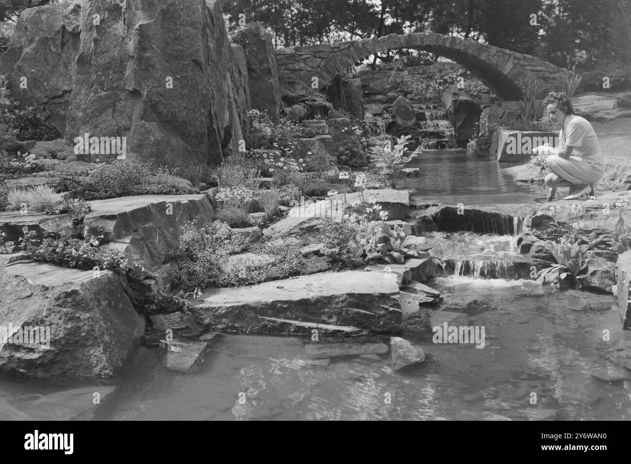 FLOWER SHOW CHELSEA ROCK GARDEN AND WATERFALL BY GAVIN JONES 15 MAY ...