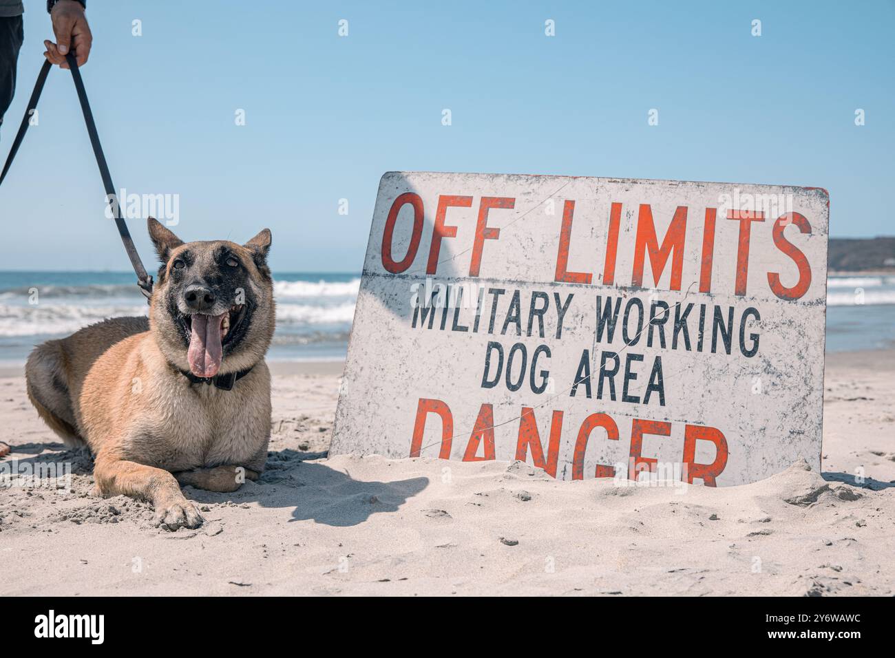 U.S. Marine Corps Military Working Dog Menta, poses for a photo during ...