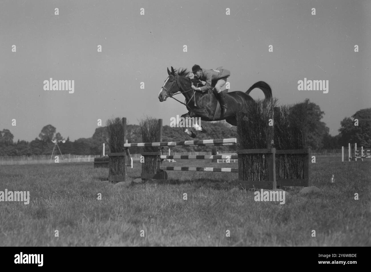 Alan oliver horse hi-res stock photography and images - Alamy