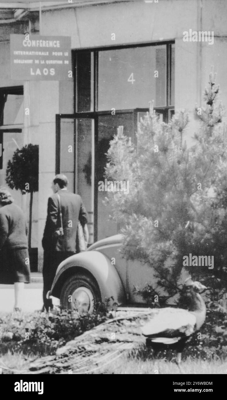 BIRDS PEACOCKS PARADE GROUND UN BULDING GENEVA 11 MAY 1961 Stock Photo ...