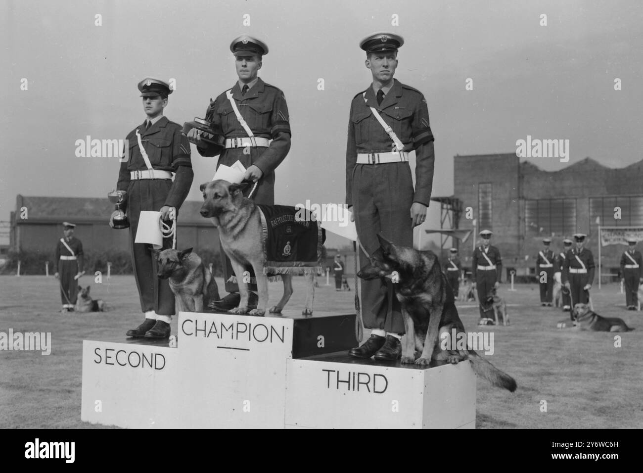 RAF DOGS IN TRAINING AND WINNERS 4 MAY 1961 Stock Photo - Alamy