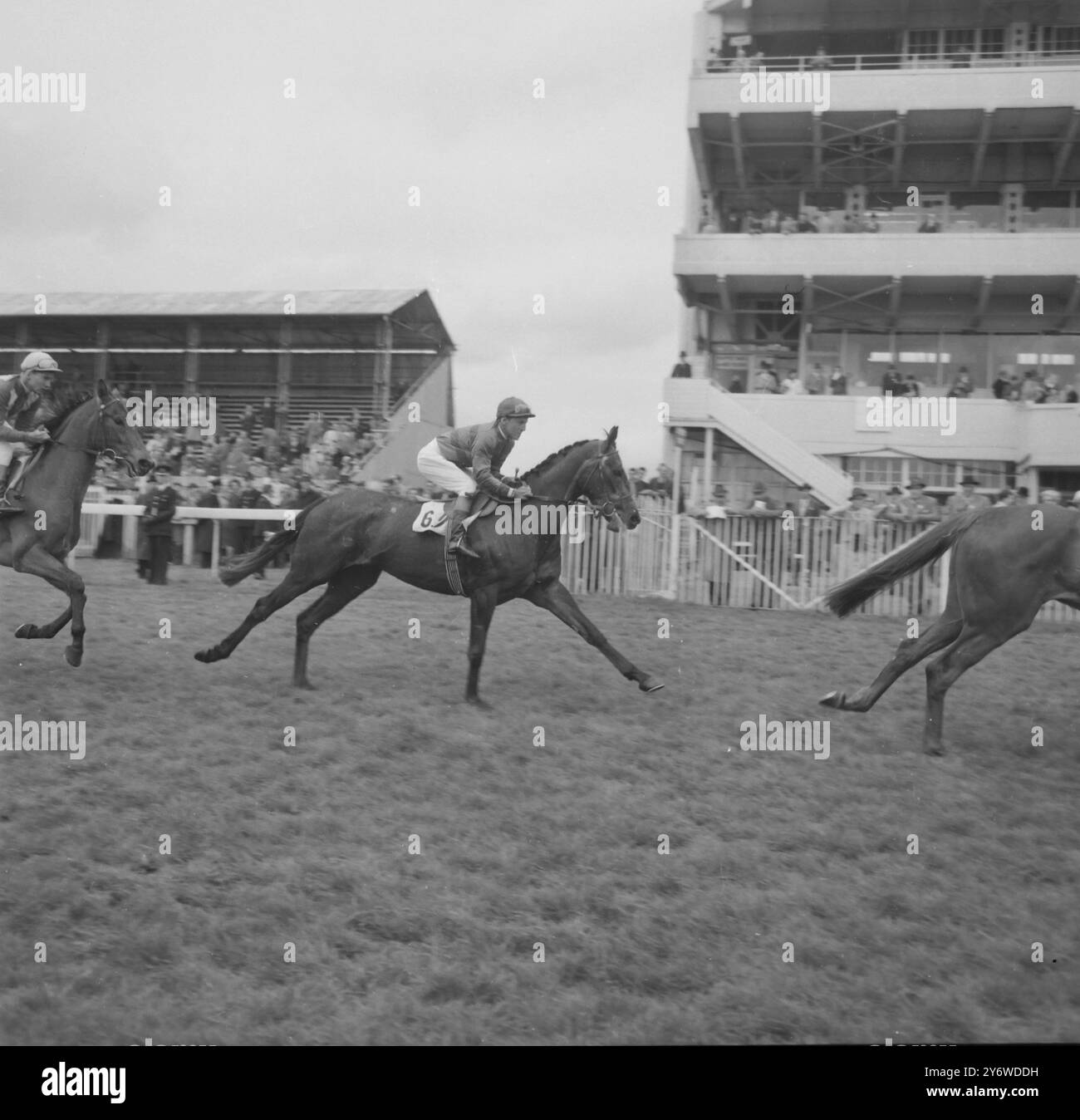 HORSE RACE ATREVIDA AGA KHANS OAK ENTRY WITH N SELLWOOD UP 21 APRIL ...