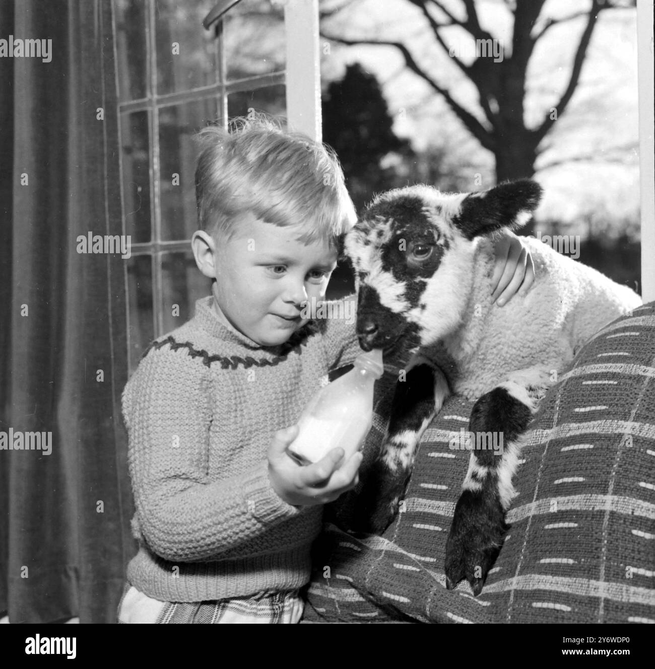 Roger lamb hi-res stock photography and images - Alamy