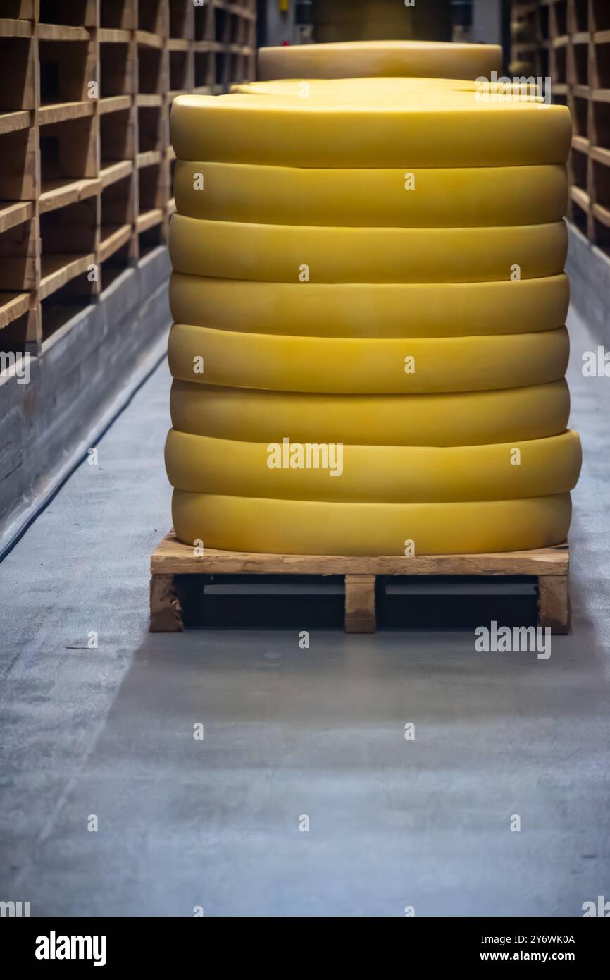 Aging rooms with many shelves in cheese caves, central location for ...