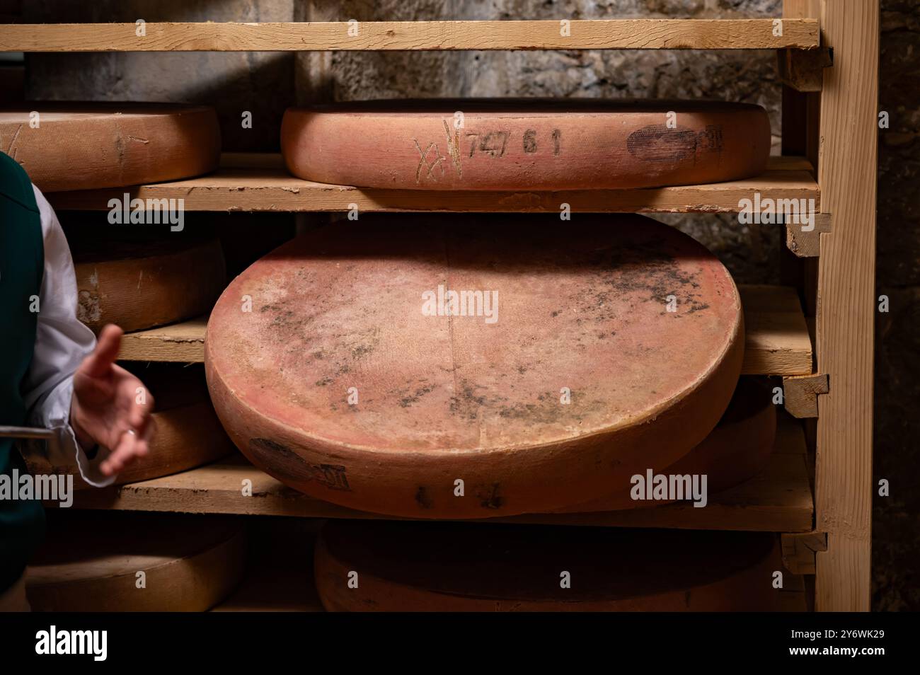 Cheese check in aging rooms with many shelves in caves, central ...