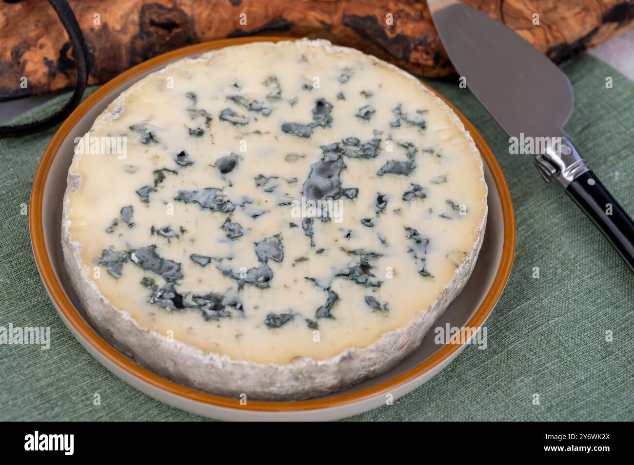 Cheese collection, piece of French blue cheese auvergne or fourme d ...