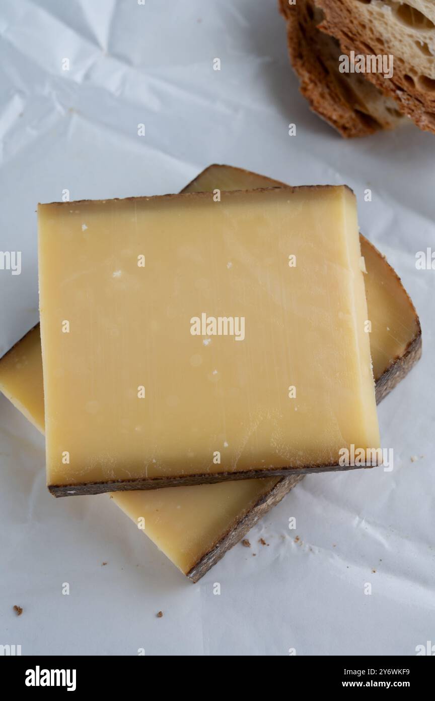 French aged in caves cheese Comte with brown rind, made from ...