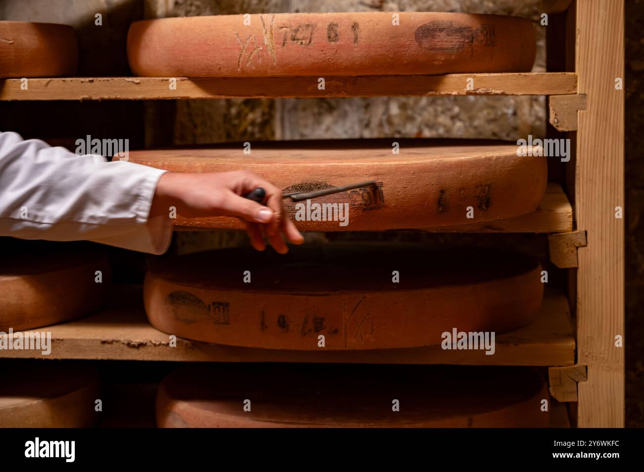 Cheese check in aging rooms with many shelves in caves, central ...