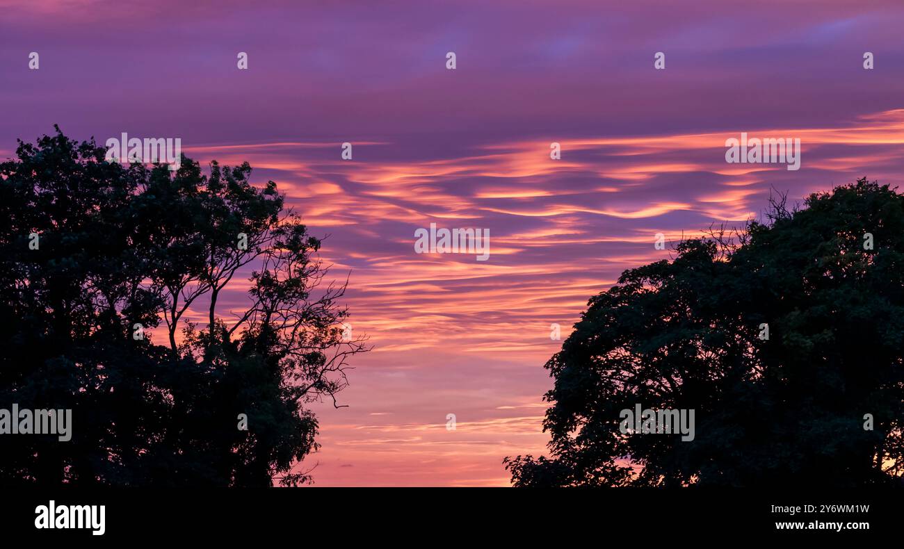 Purple sunset sky silhouette hi-res stock photography and images - Alamy