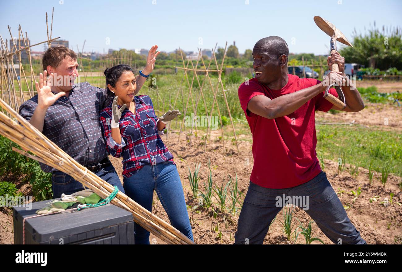 Gardeners having conflict, angry man waved a shovel Stock Photo - Alamy
