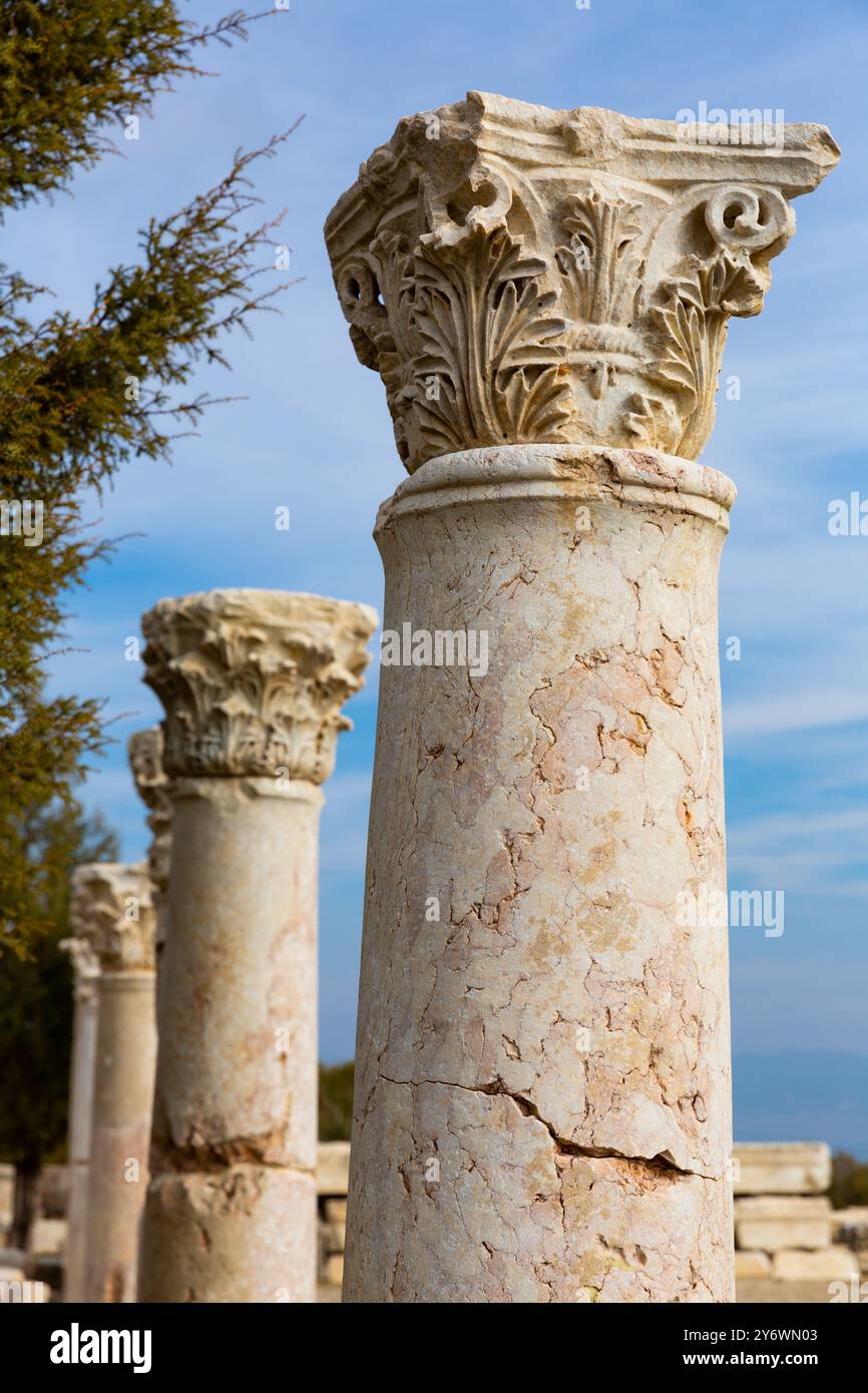 Marble pillars with Corinthian capitals on ruins of Agora in Kibyra ...