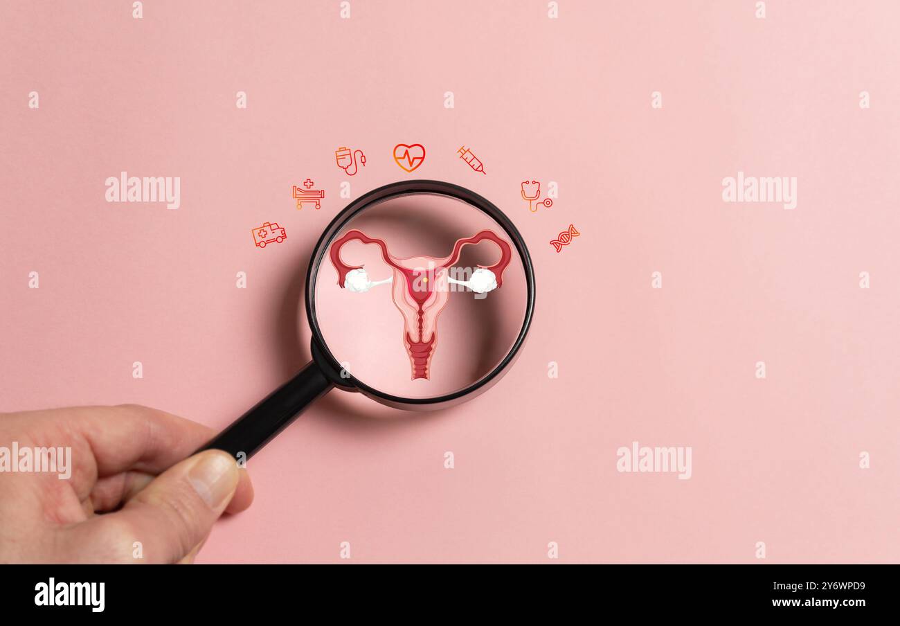 Close-up of a magnifying glass highlighting a uterus illustration with ...