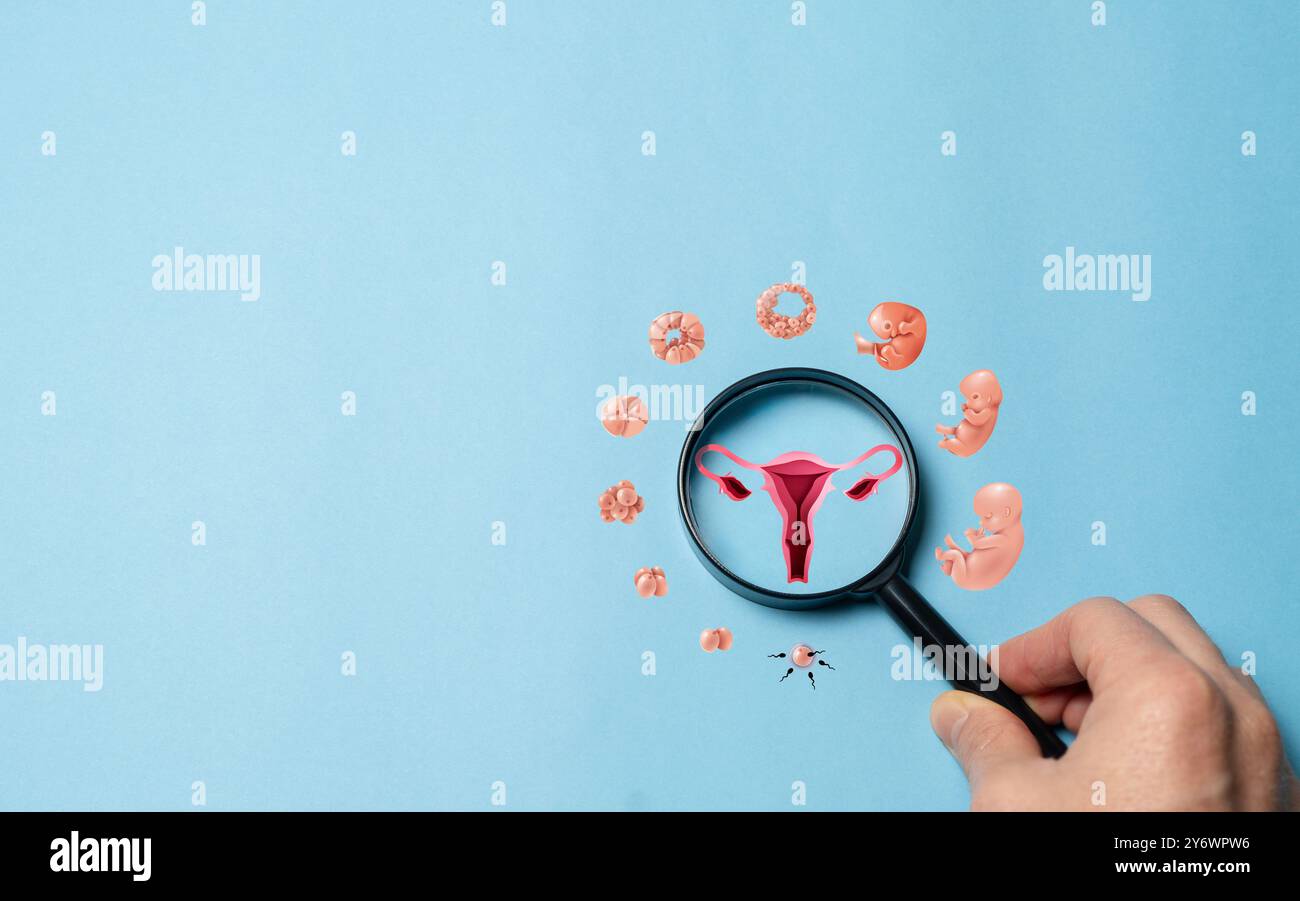 The Human Fertilization Process, Magnifying Glass on the Egg and the ...