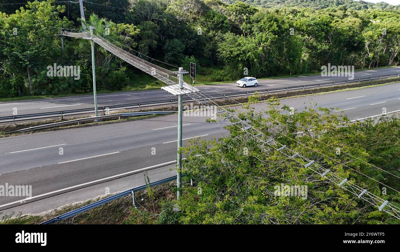 mata de sao joao, bahia, brazil - september 9, 2024: View of a wild ...