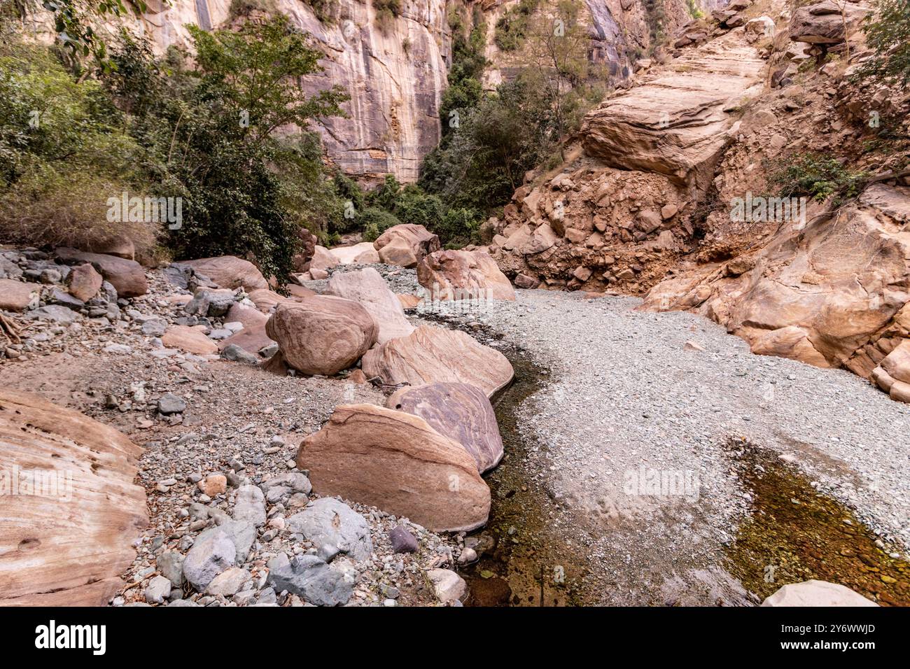 Wadi river saudi arabia hi-res stock photography and images - Alamy