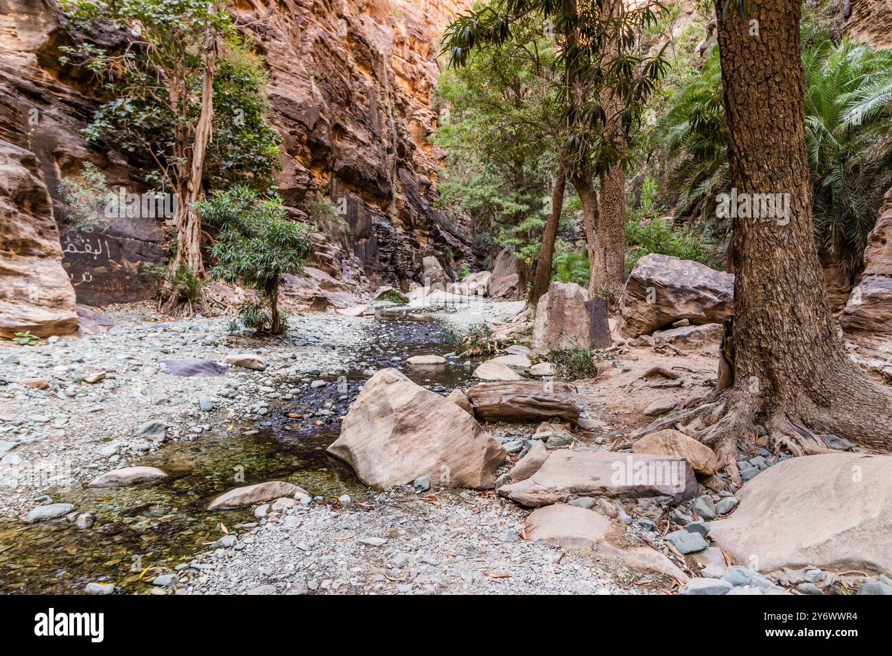 View of Wadi Lajab canyon, Saudi Arabia Stock Photo - Alamy