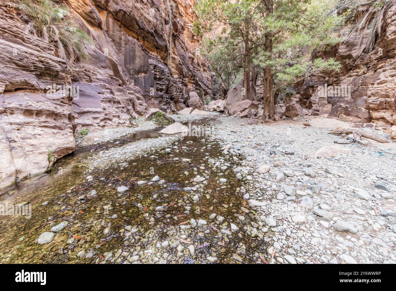 View of Wadi Lajab canyon, Saudi Arabia Stock Photo - Alamy