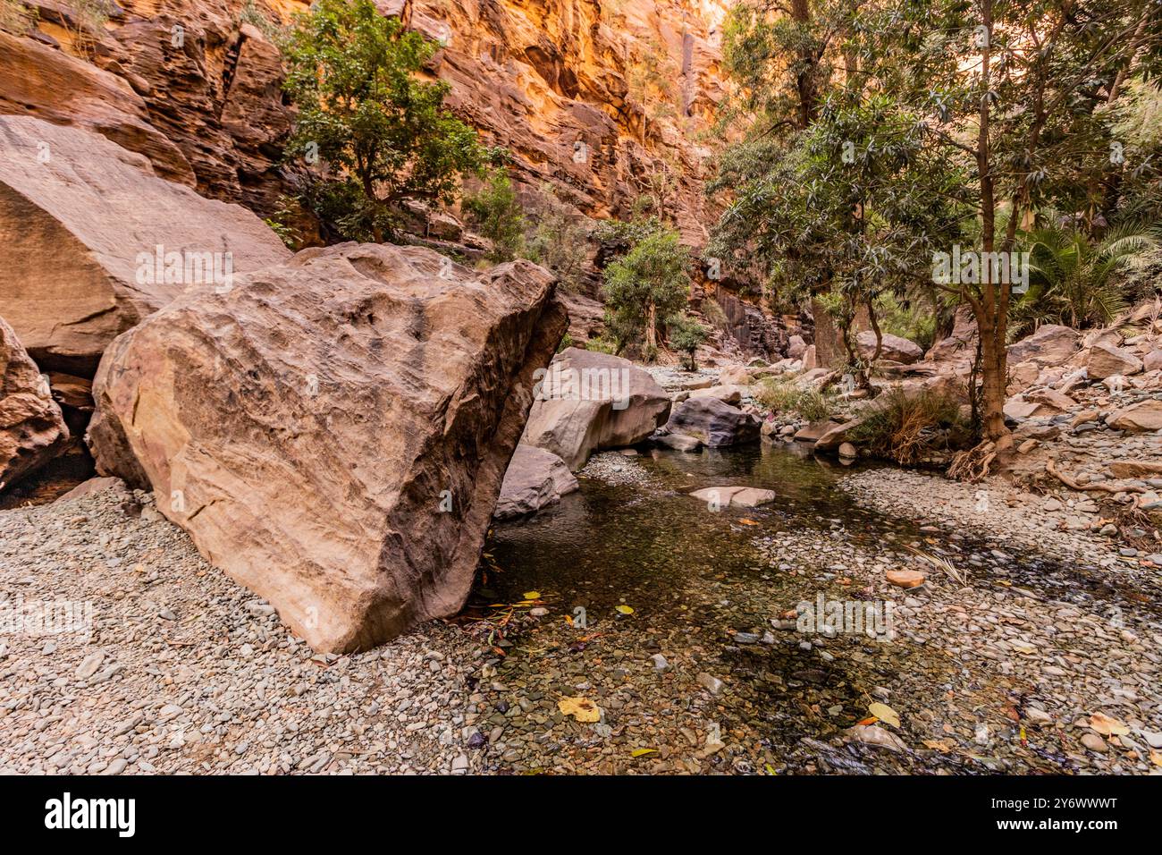 Wadi river saudi arabia hi-res stock photography and images - Alamy