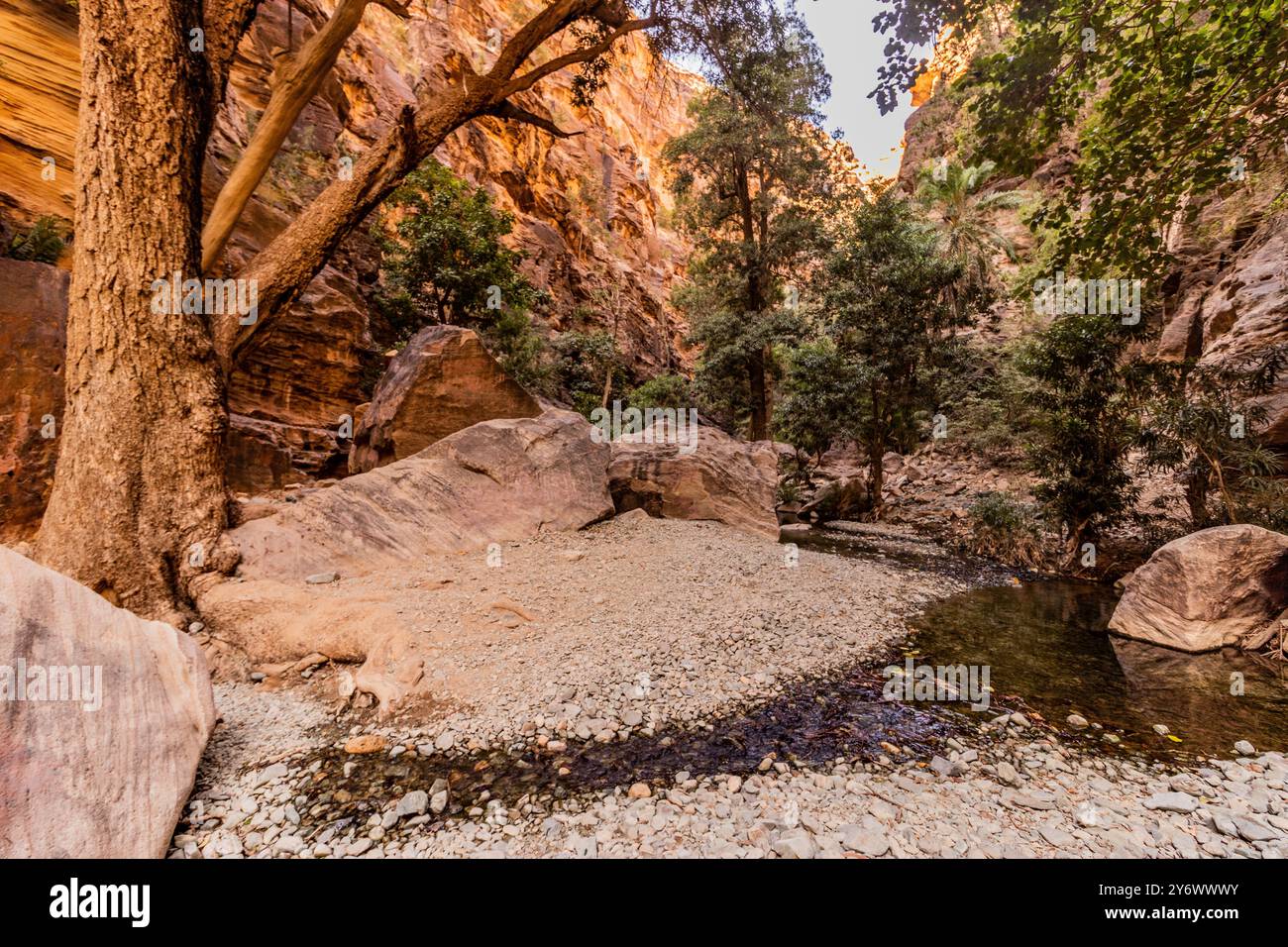 View of Wadi Lajab canyon, Saudi Arabia Stock Photo - Alamy