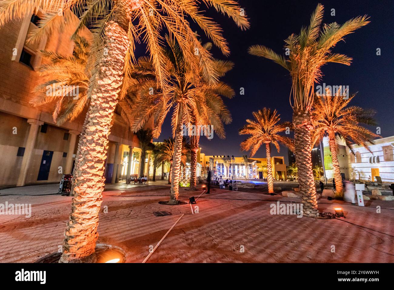 RIYADH, SAUDI ARABIA - NOVEMBER 29, 2021: Evening view of palms in Al ...