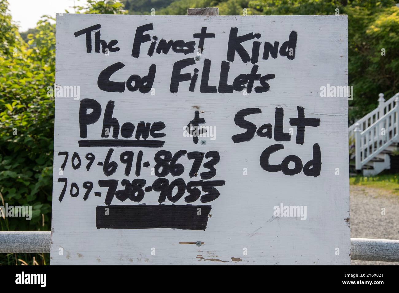 Homemade sign advertising finest kind of cod fillets in Petty Harbour ...