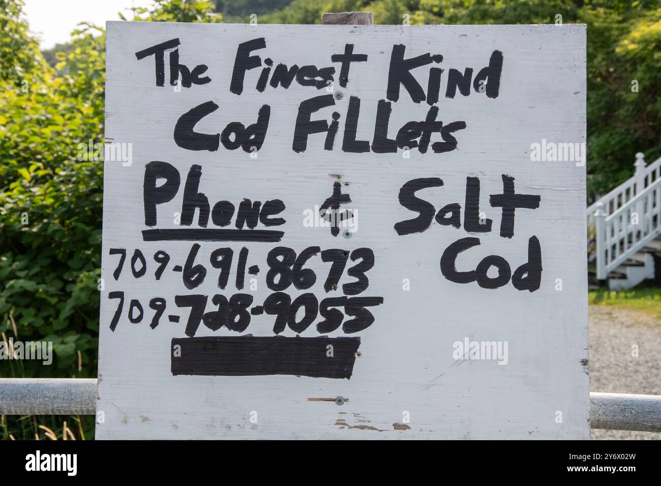 Homemade sign advertising finest kind of cod fillets in Petty Harbour ...