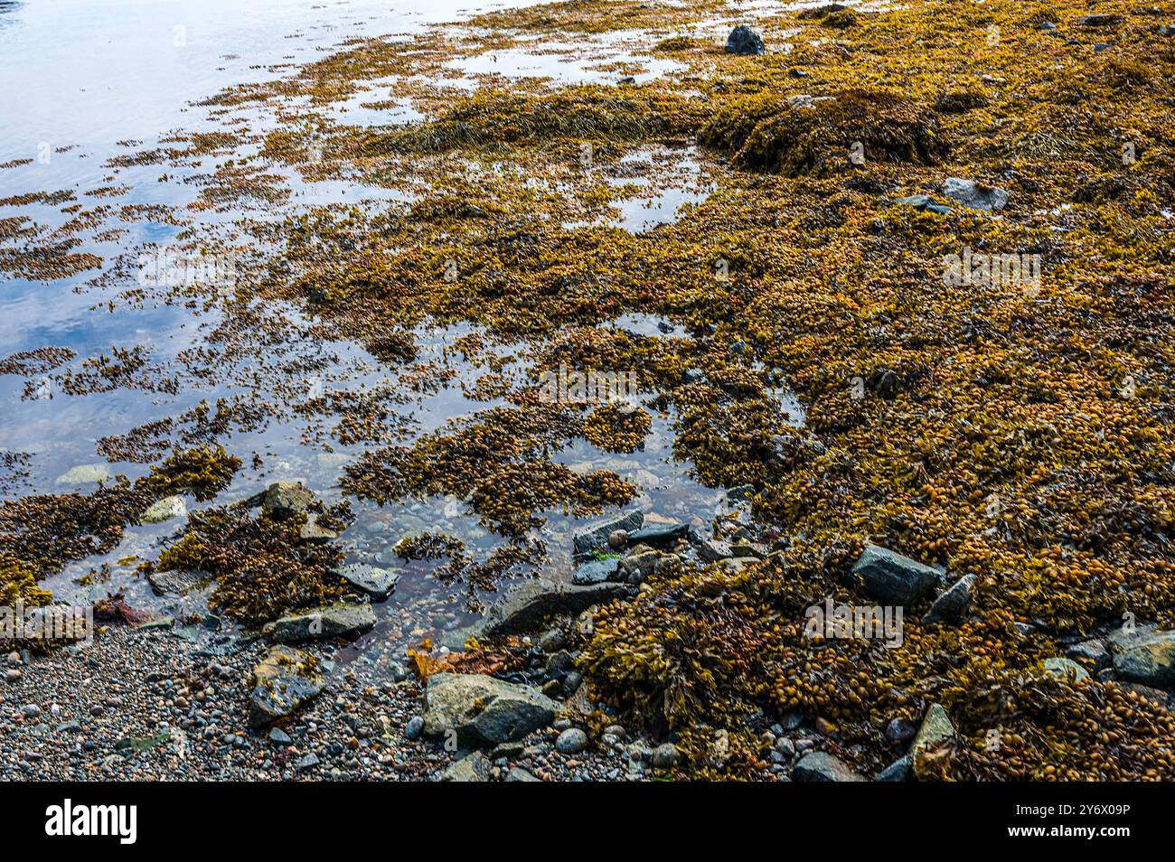 Rocky shoreline calm sea hi-res stock photography and images - Alamy