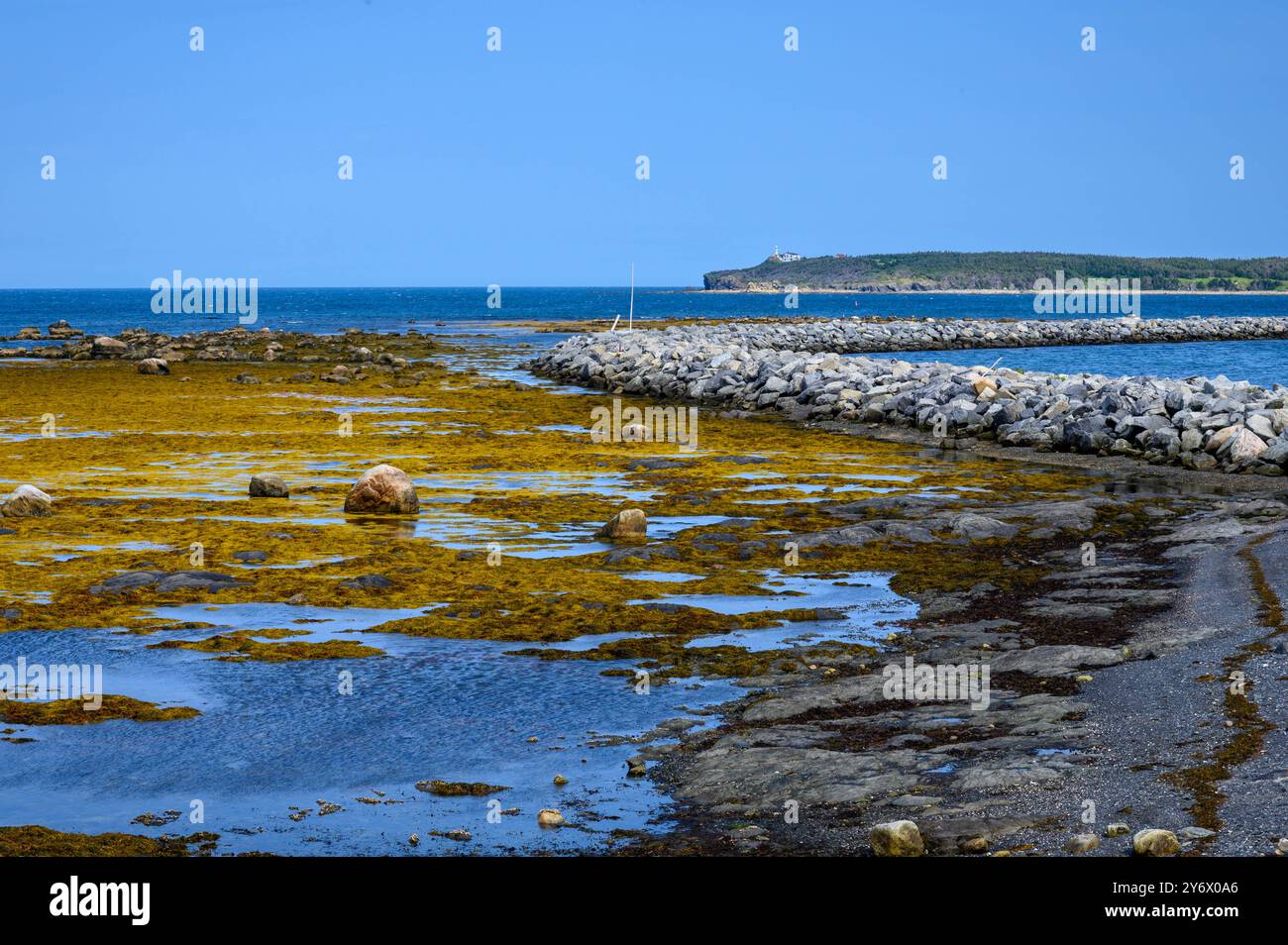 Rock wall and seaweed, in Atlantic Ocean Stock Photo - Alamy