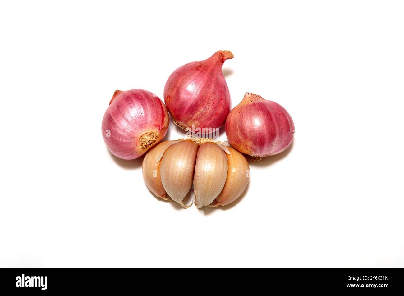 Shallots on isolated white hi-res stock photography and images - Alamy