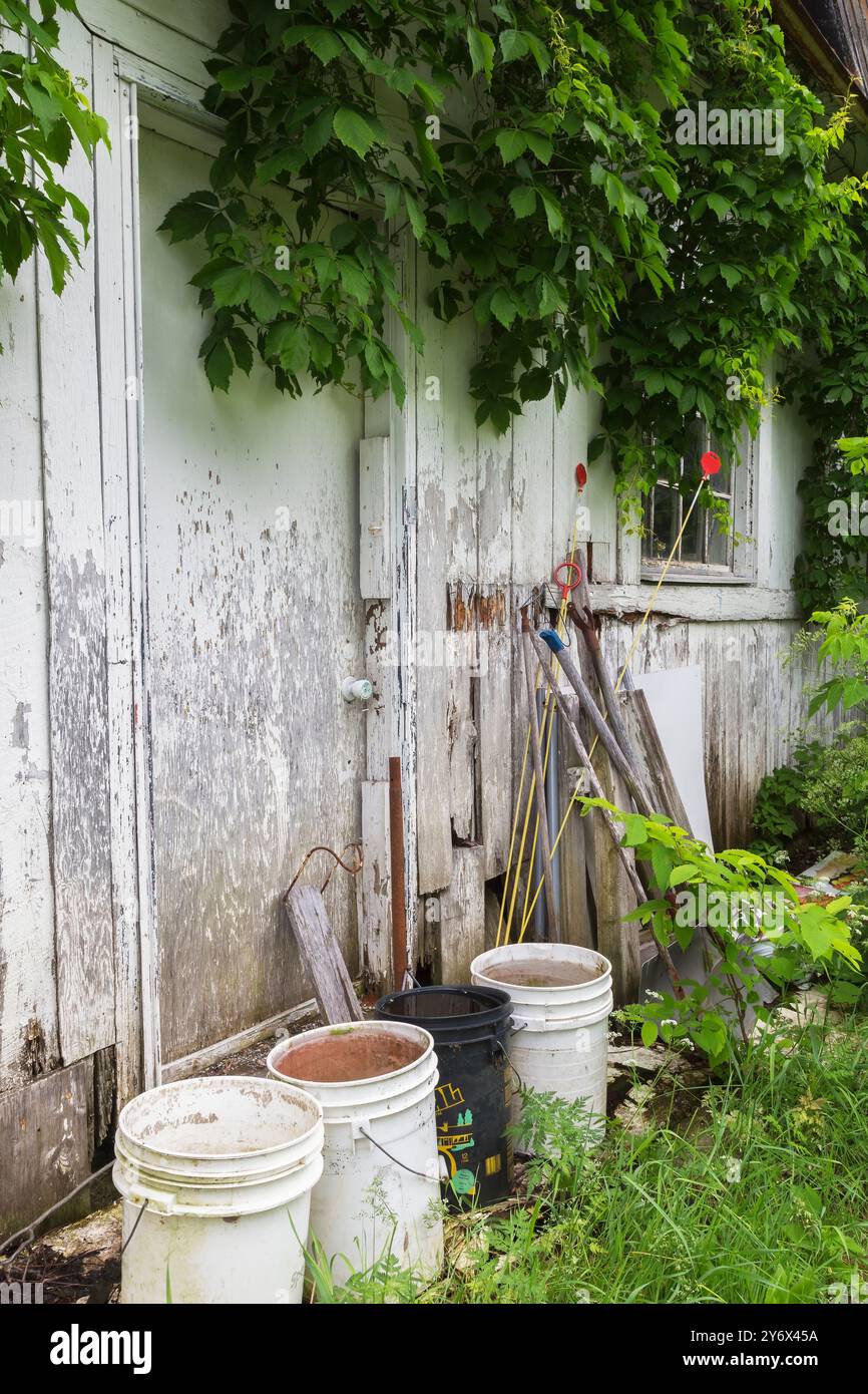 Plastic buckets filled with rainwater in front of side entrance door on ...