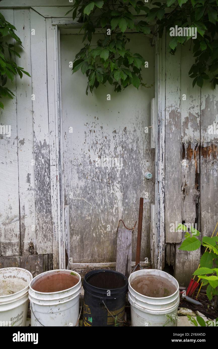 Plastic buckets filled with rainwater in front of side entrance door on ...