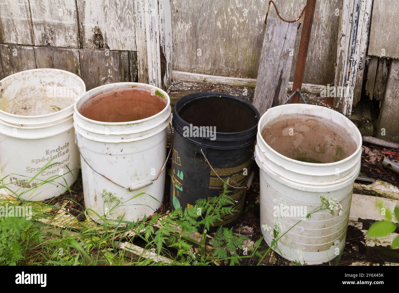 Plastic buckets filled with collected rainwater in front of side ...