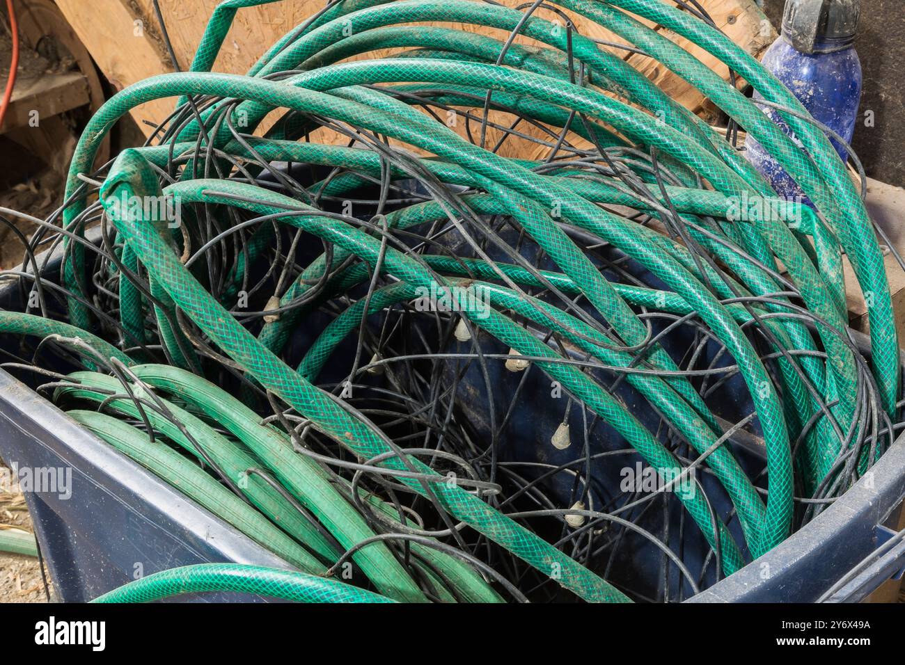 Green vinyl and rubber drip irrigation hoses in blue plastic bin Stock ...