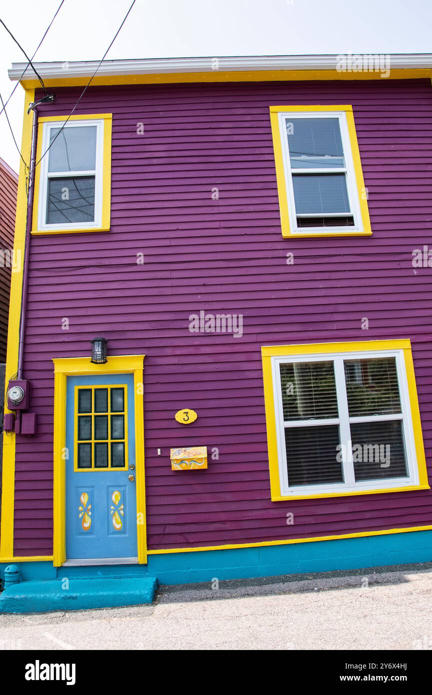 Purple, yellow and blue jellybean row house in downtown St. John's ...