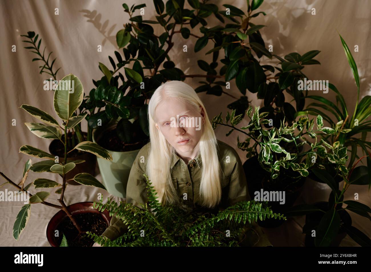 Elf-like Girl In Biophilic Setting Stock Photo - Alamy