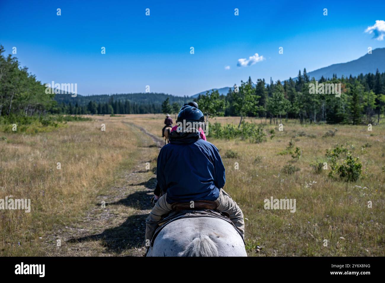 Line of tourists riding horses into the wilderness at Banff National ...