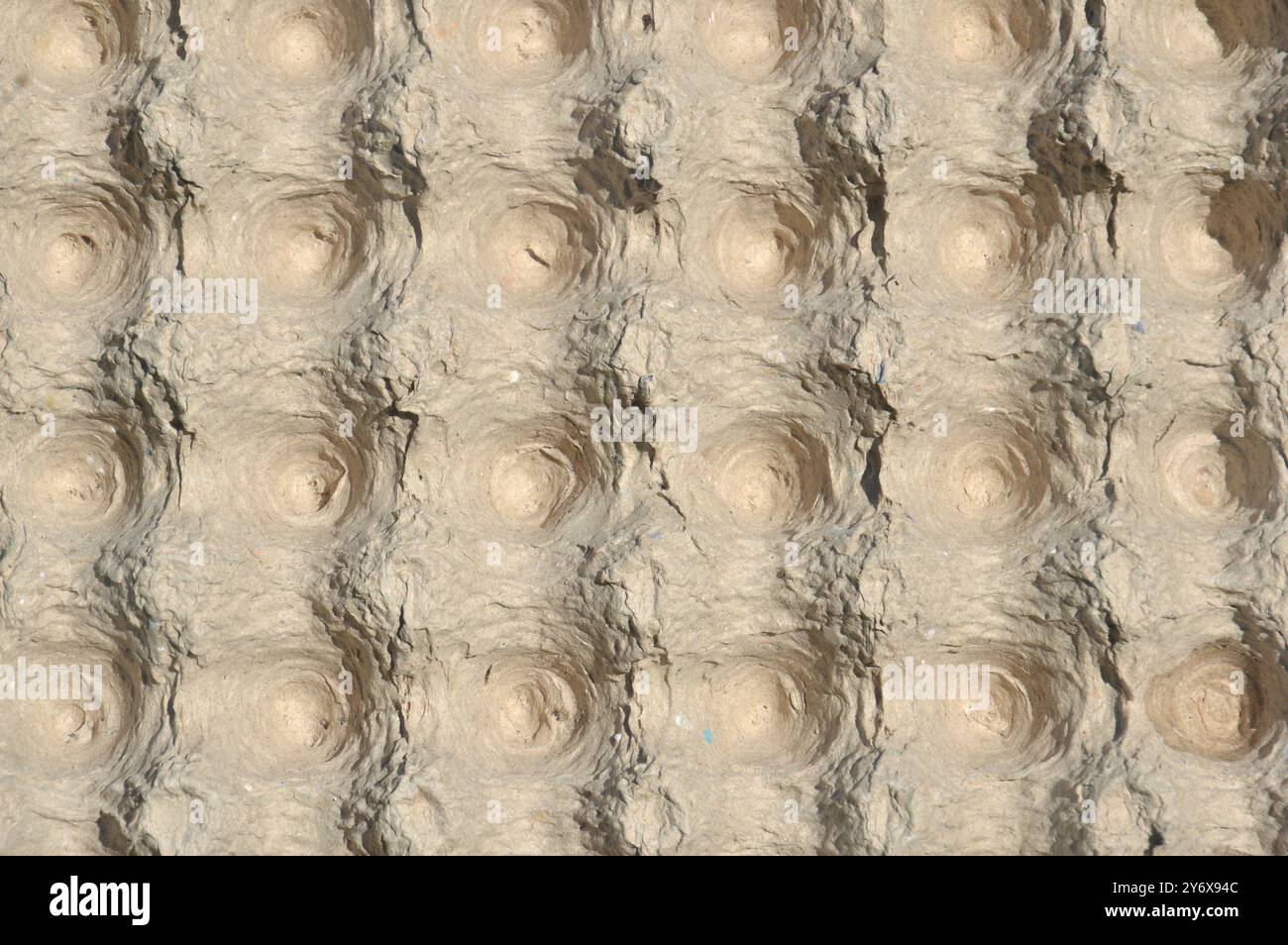 egg cardboard texture background Stock Photo - Alamy