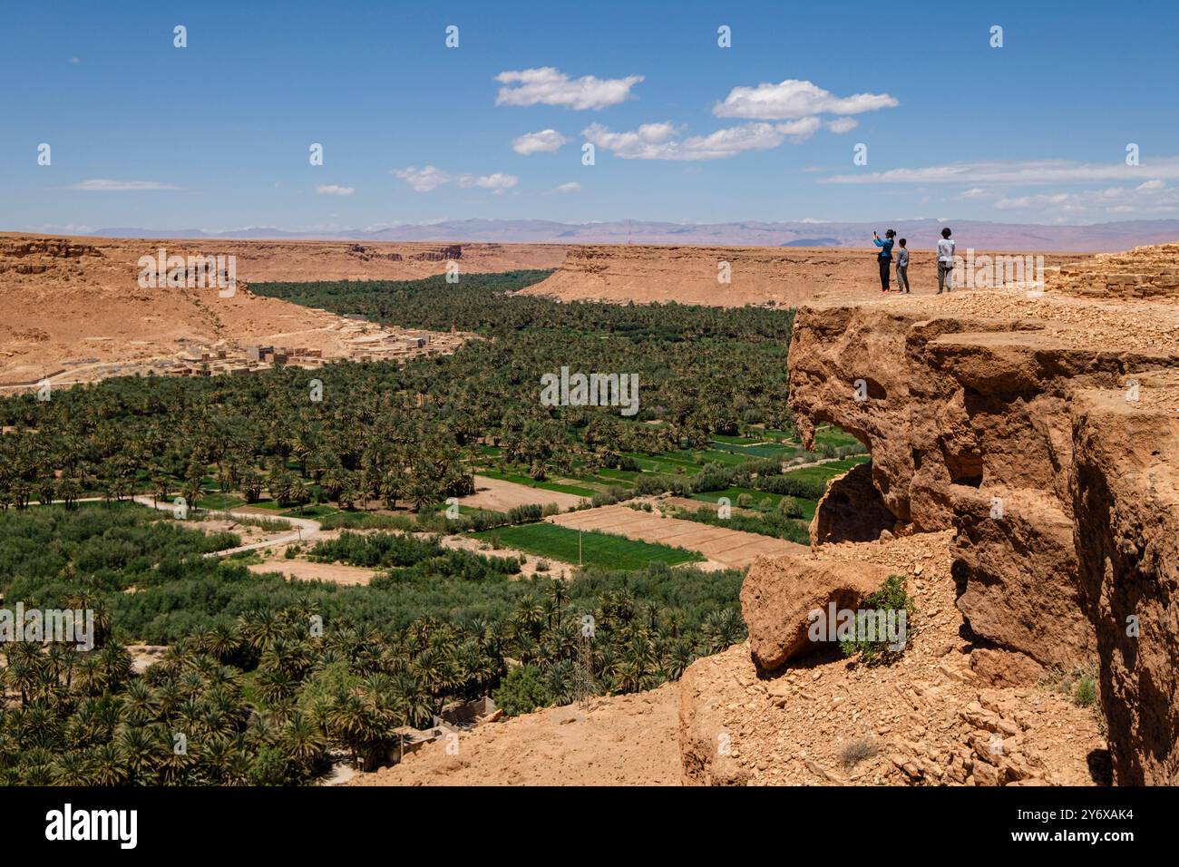 Tafilalet palm grove, Ziz river valley, Morocco, Africa Stock Photo - Alamy