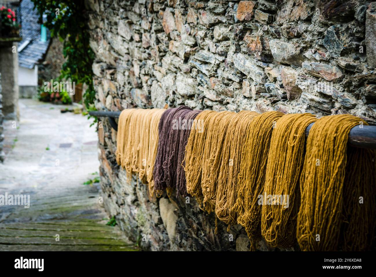 Aranese sheep wool, Bausen, Aran Valley, Pyrenees mountain range, Spain ...