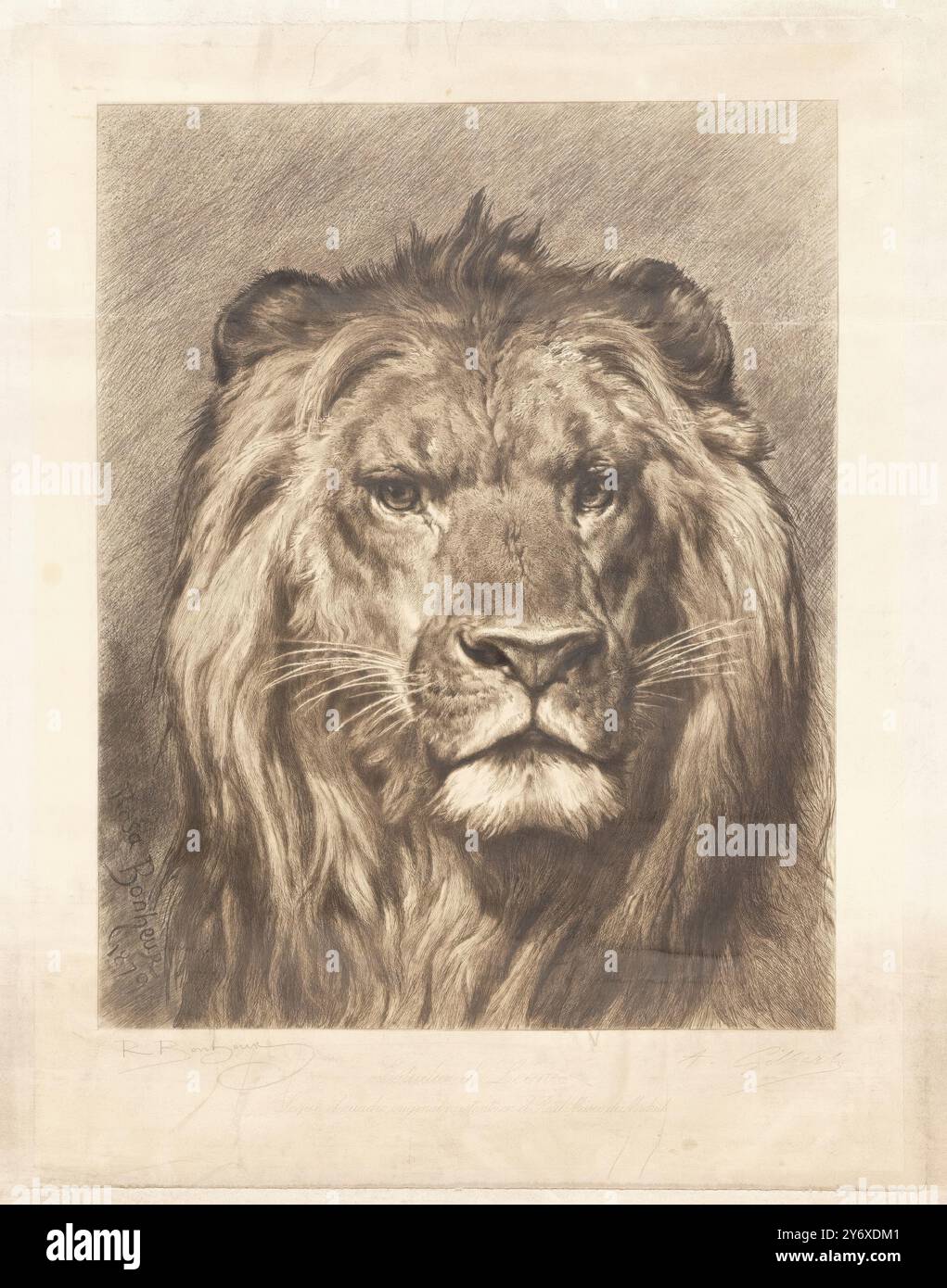 El cid rosa hi-res stock photography and images - Alamy