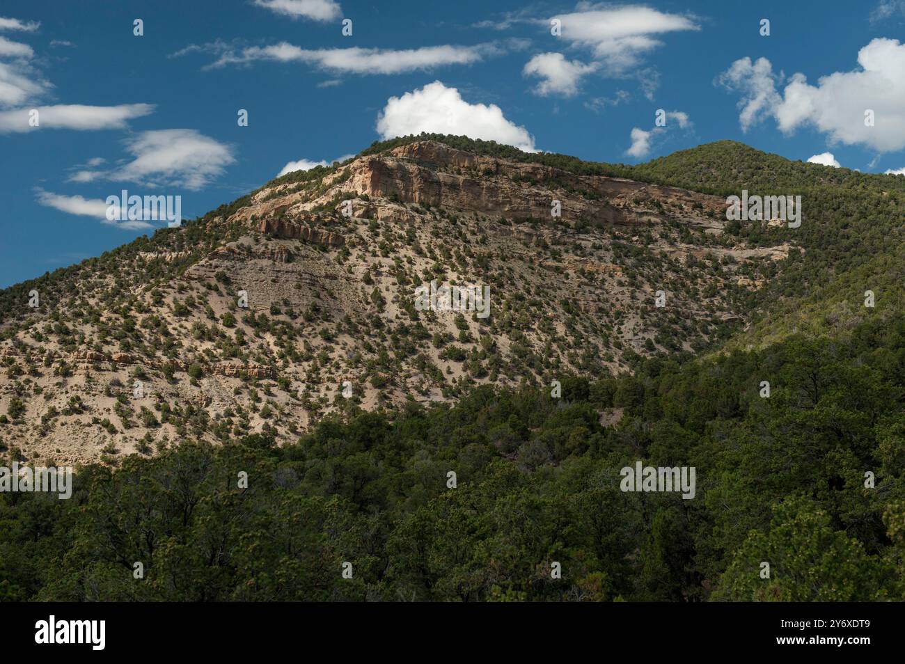 Cliffs of Mancos Shale at the edge of Colorado's Grand Mesa, the world ...