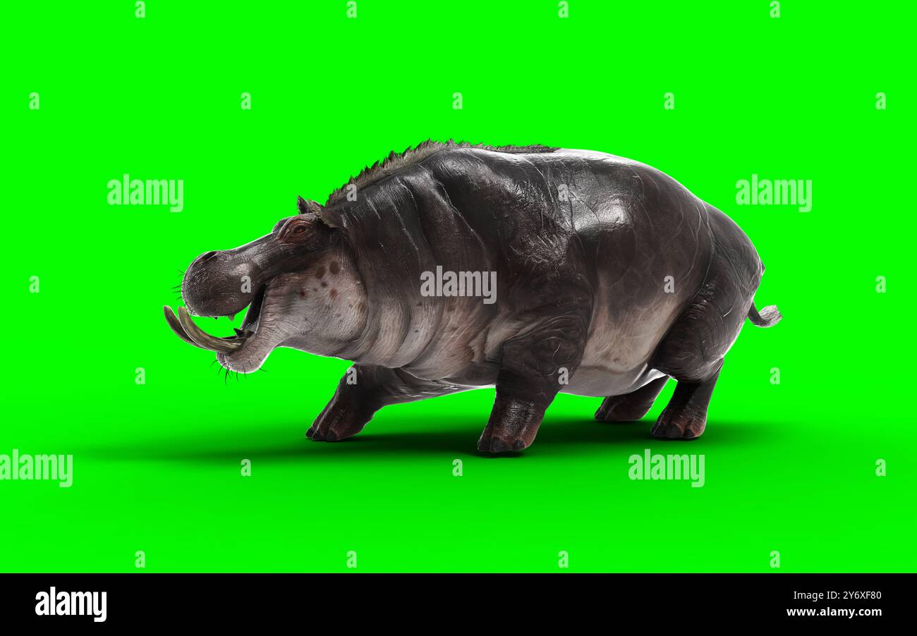 3d Illustration The Common hippopotamus (Hippopotamus Amphibius) posing ...