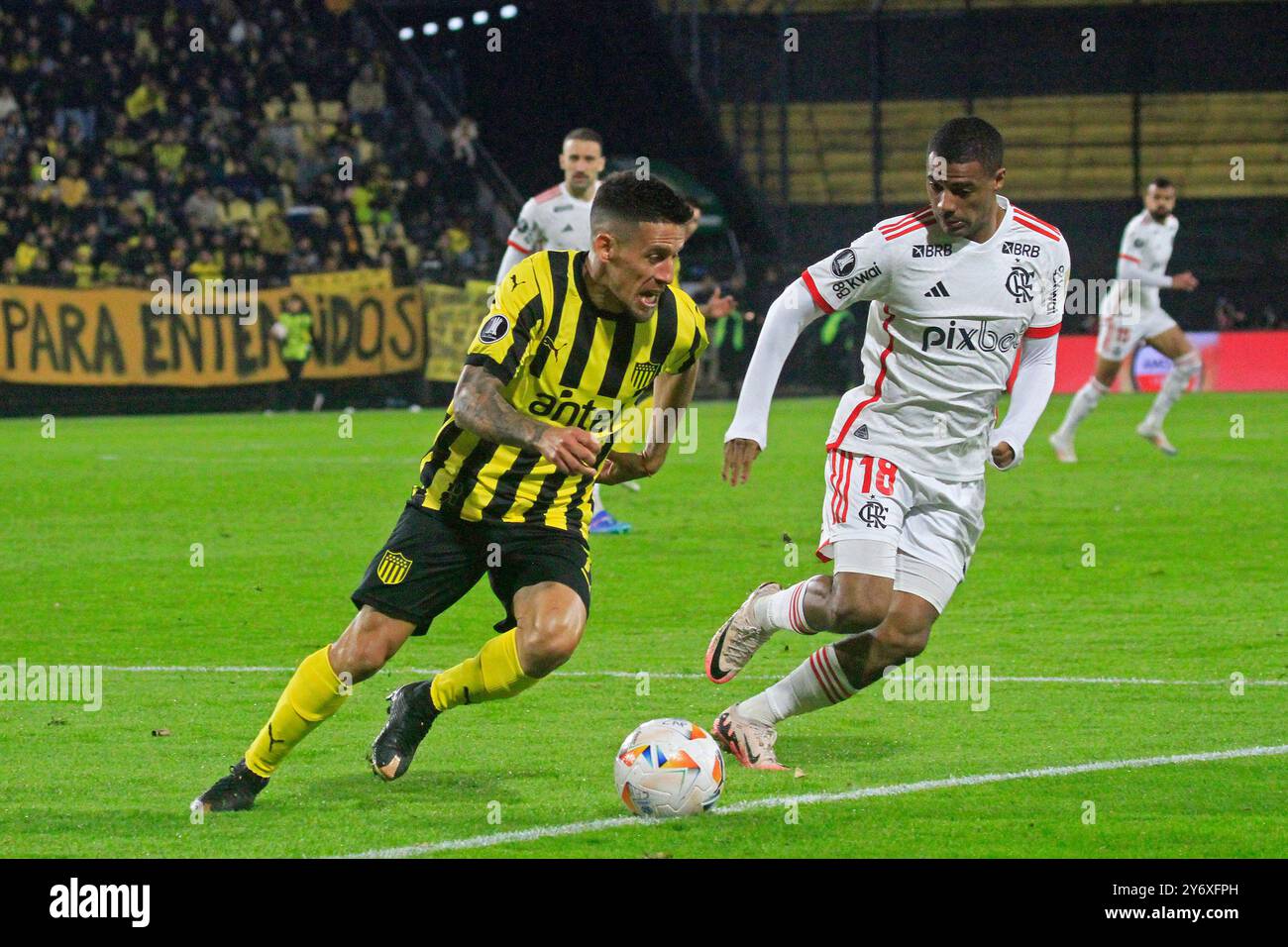 Nicolas cabrera hi-res stock photography and images - Alamy